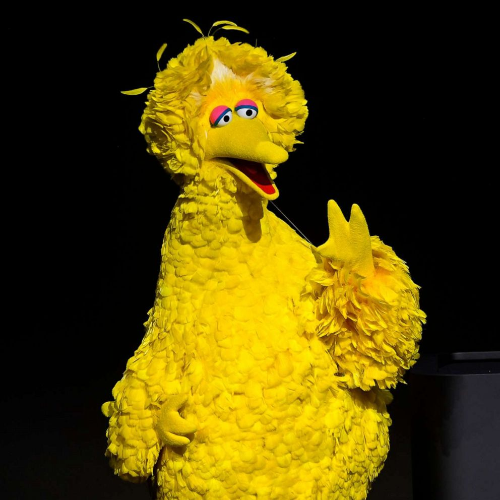 Bird 348 – Big Bird – Bird of the Week